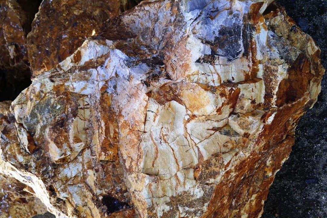 California Gold Boulder - Rosenbalm Rockery