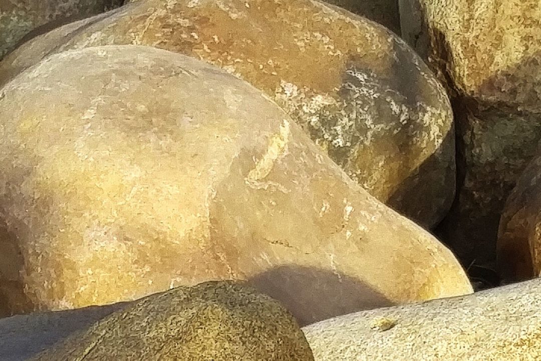 Home - Rosenbalm Rockery